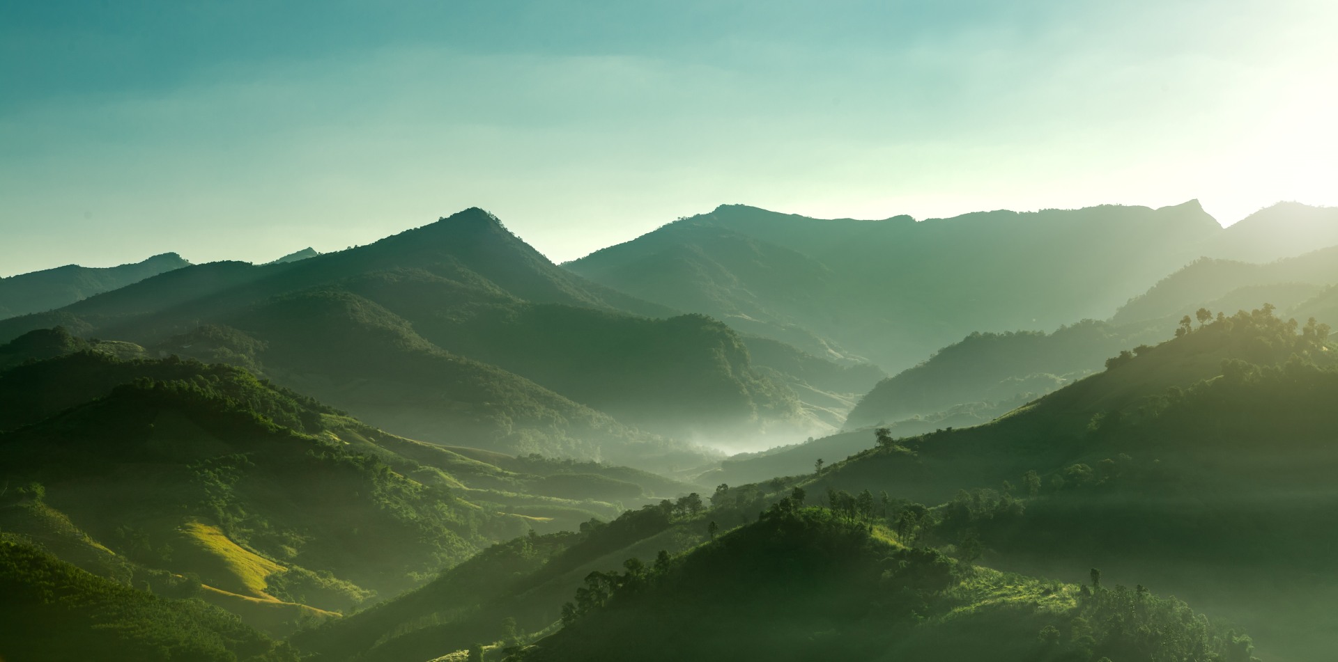 Jiwater - Mineral Baik untuk Tubuh & Kulitmu